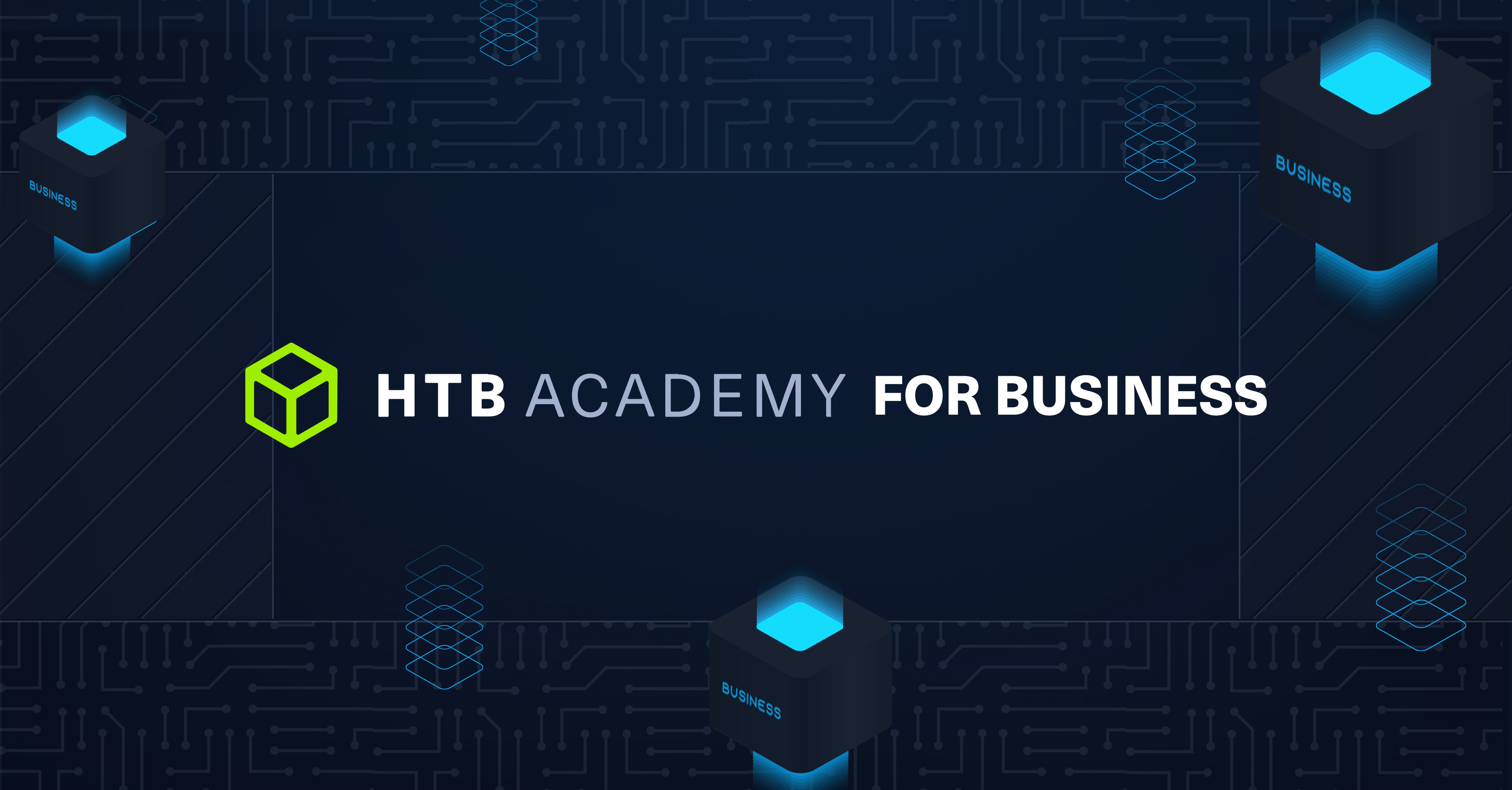 Cybersecurity Upskilling For IT Professionals & Developers | HTB